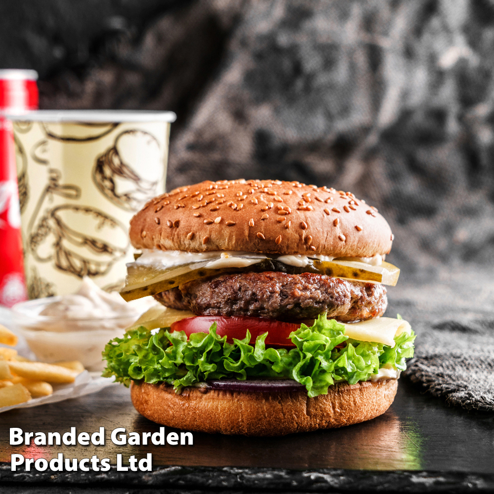 Lettuce 'Burger Leaf' | Dobies