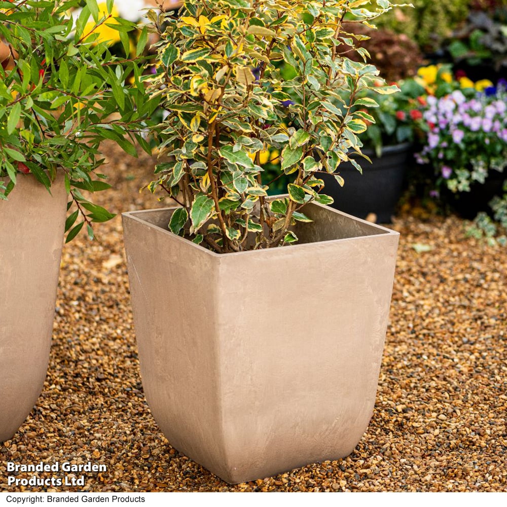 Garden Gear - Tuscany Marble & Stone Effect Planter | Dobies