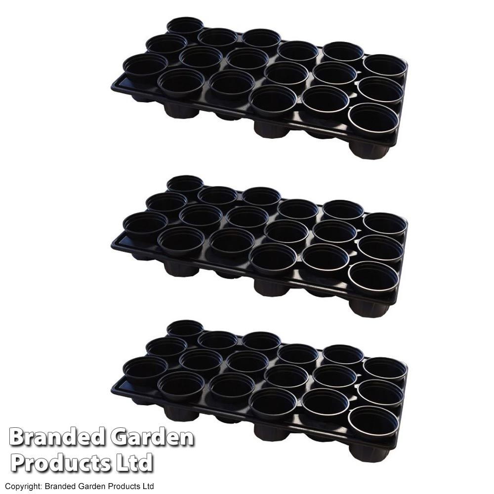 Shuttle Trays and Pots | Dobies