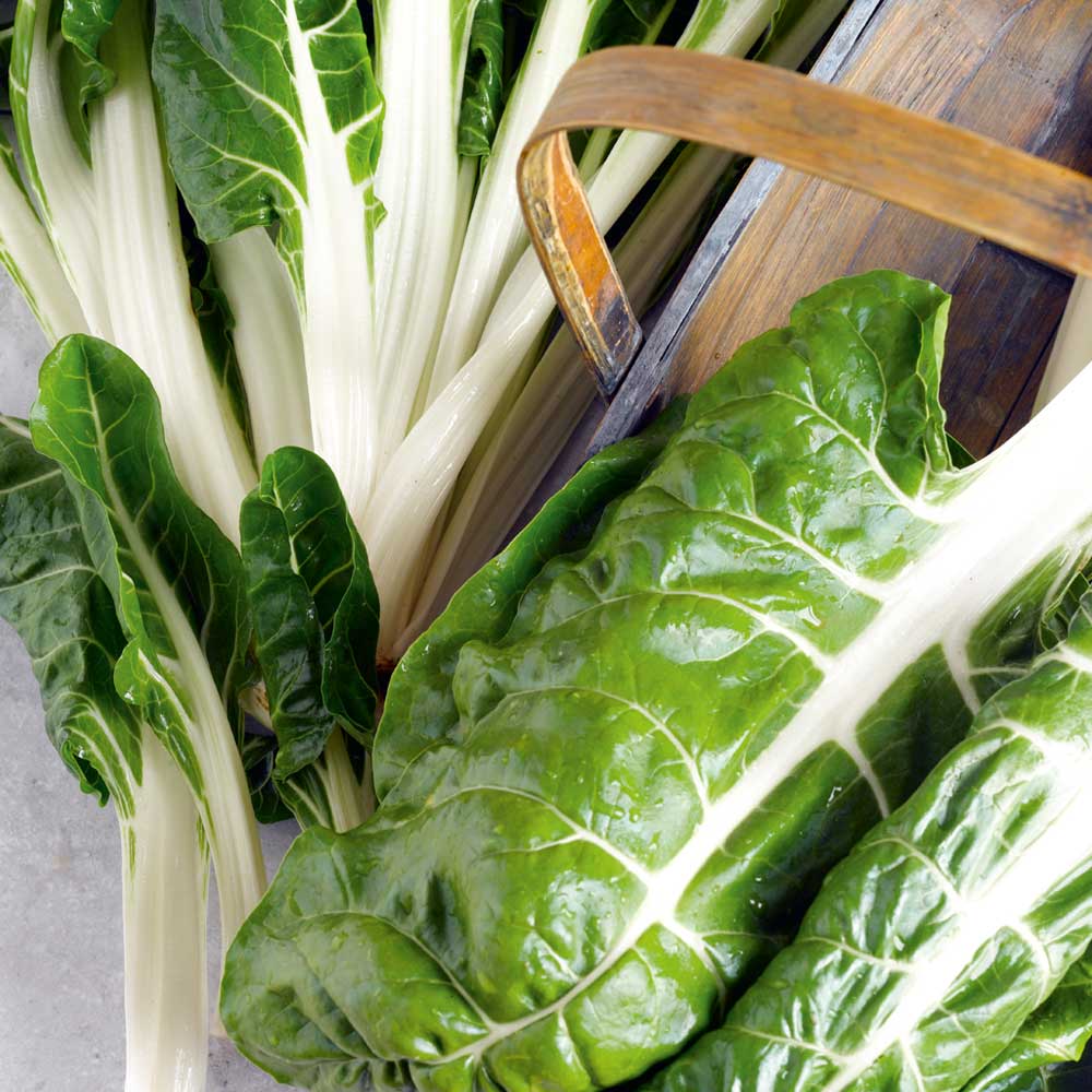 Winter Cropping Veg Mix | Dobies