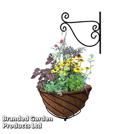 Large Hanging Basket Kits | Dobies