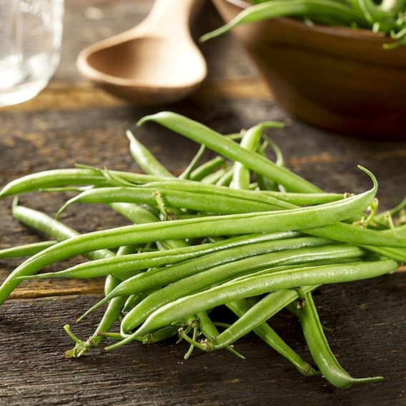 Dwarf French Bean 'Compass' - Organic Seeds | Dobies